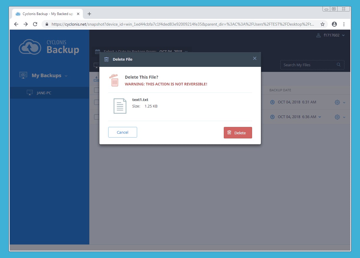 Cyclonis Backup 's Help File - Cyclonis